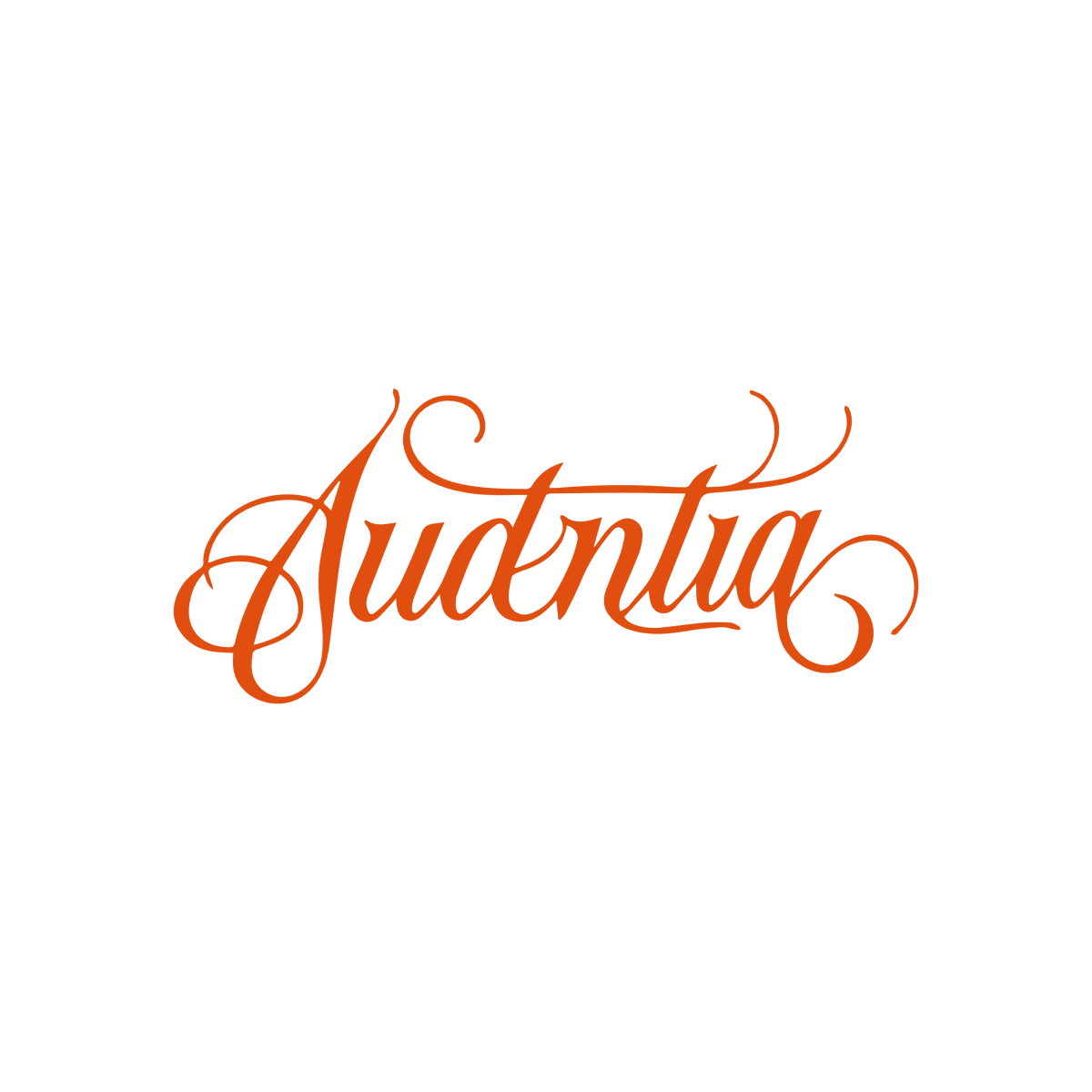 AUDENTIA Ver 2